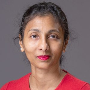 Investment Team - Mondrian